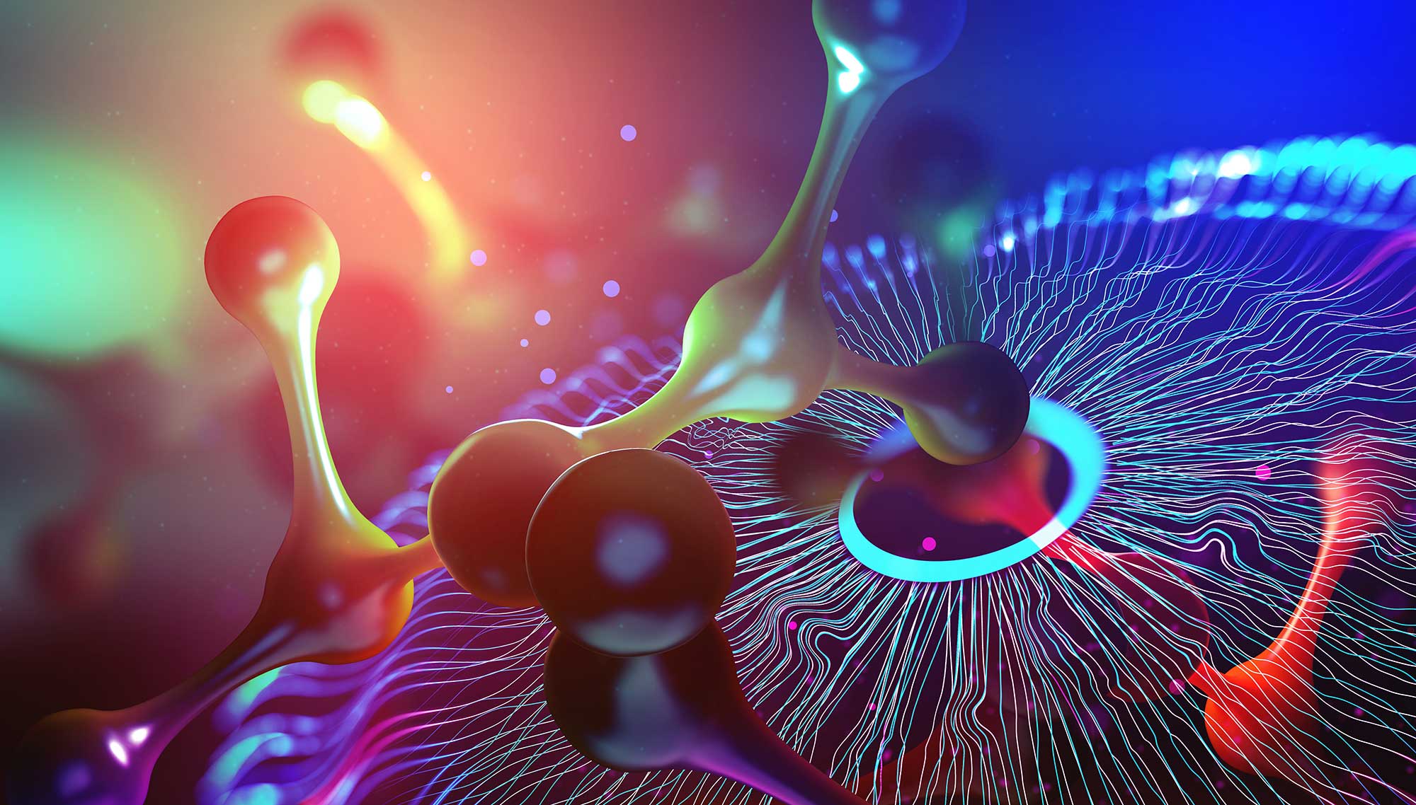 Math Tutoring In Washington DC & NOVA | Alexander Mathematics And Physics Tutors